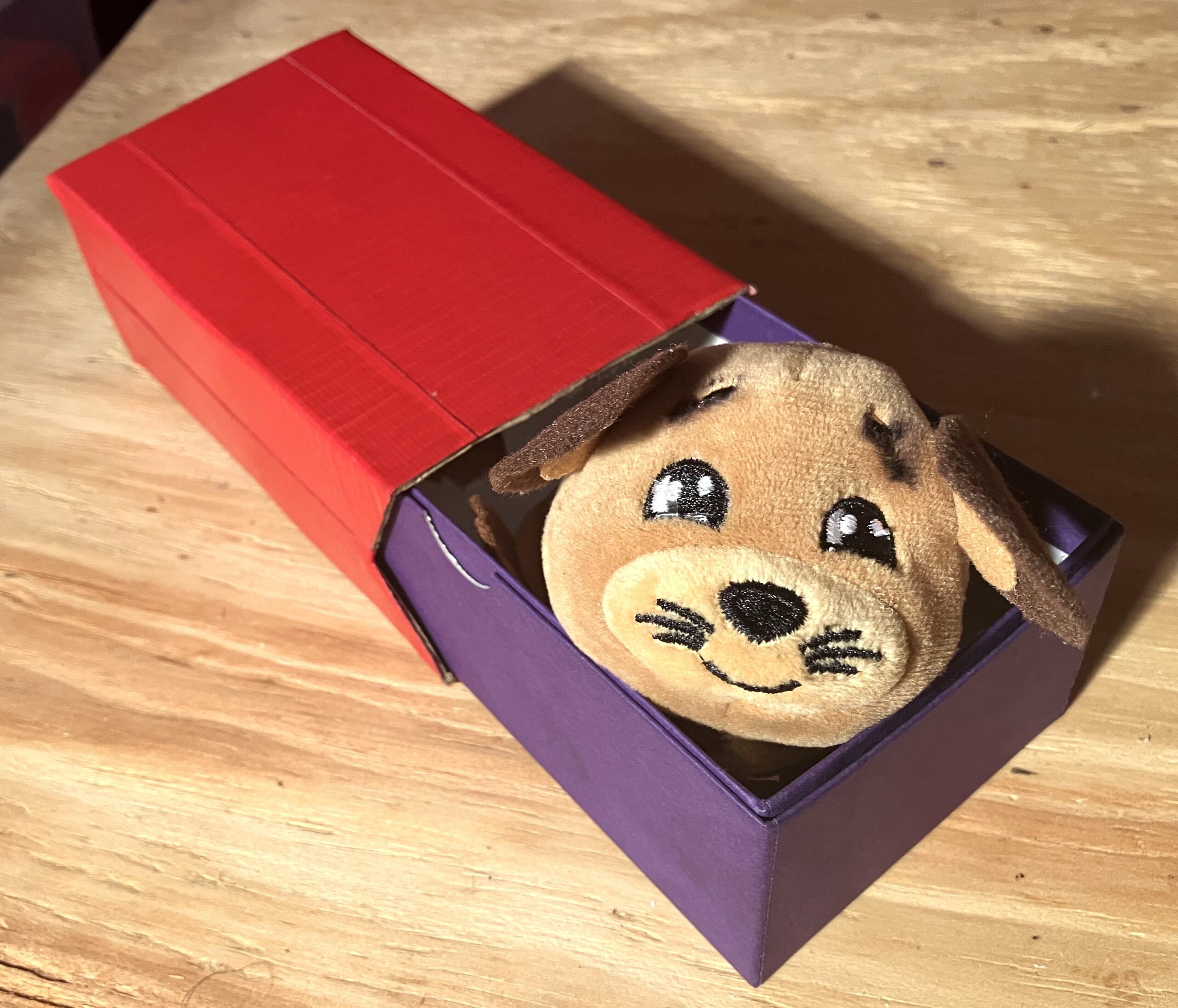 Magic Drawer Box - Make your Own - Kid Show Academy